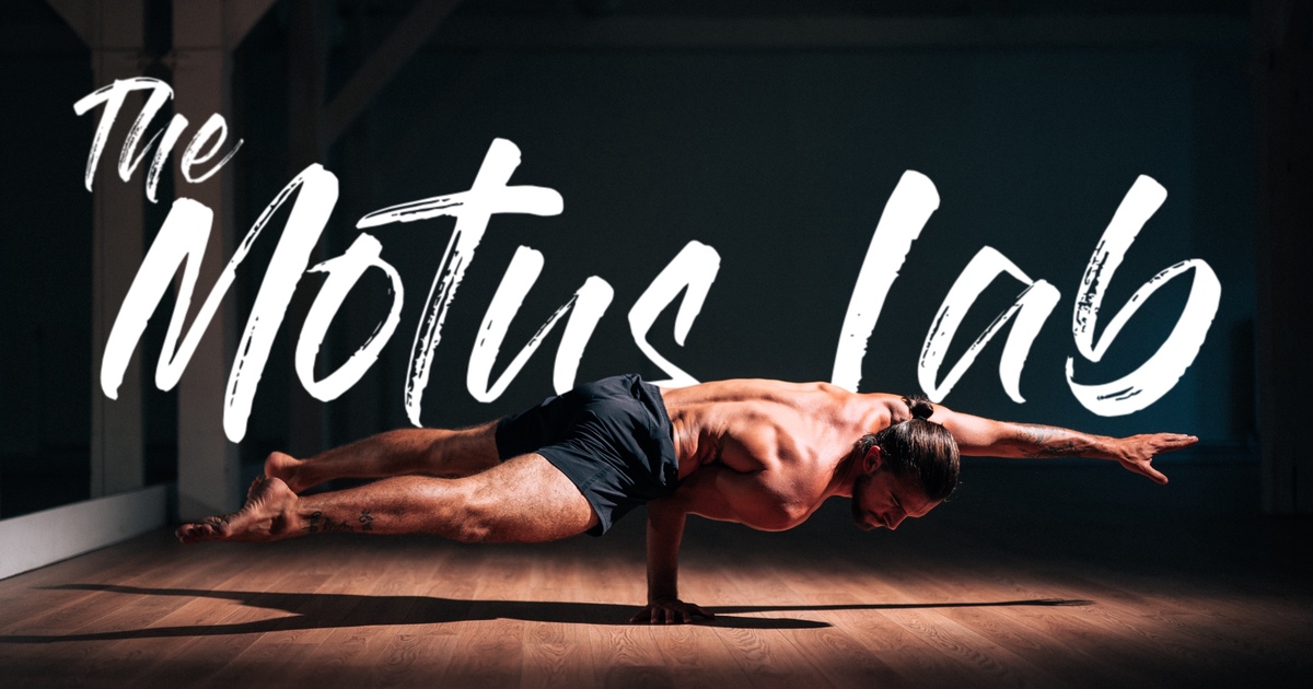 The Motus Lab